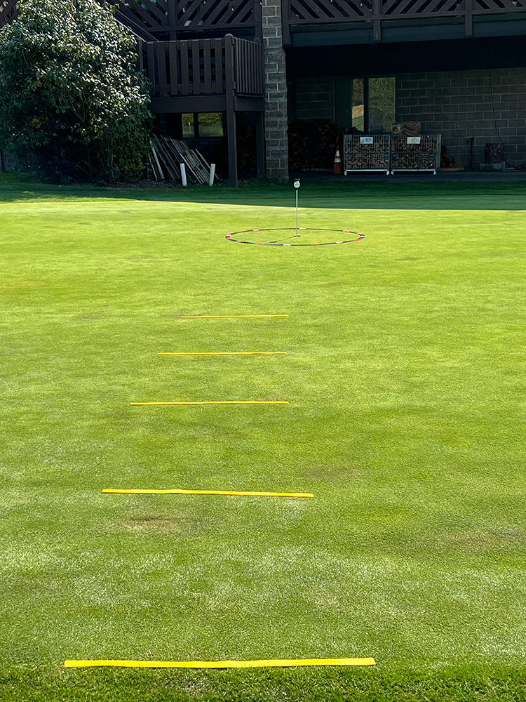 Elevate Your Scoring Game by Understanding the Elements that influence ...